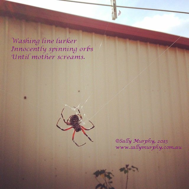 A Photo Haiku